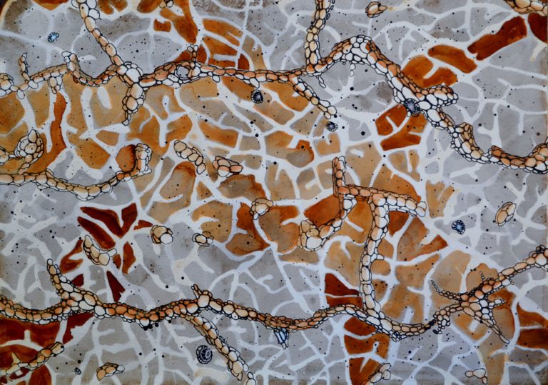 ‘Art in Soils’ proposal | Svetlana's Art